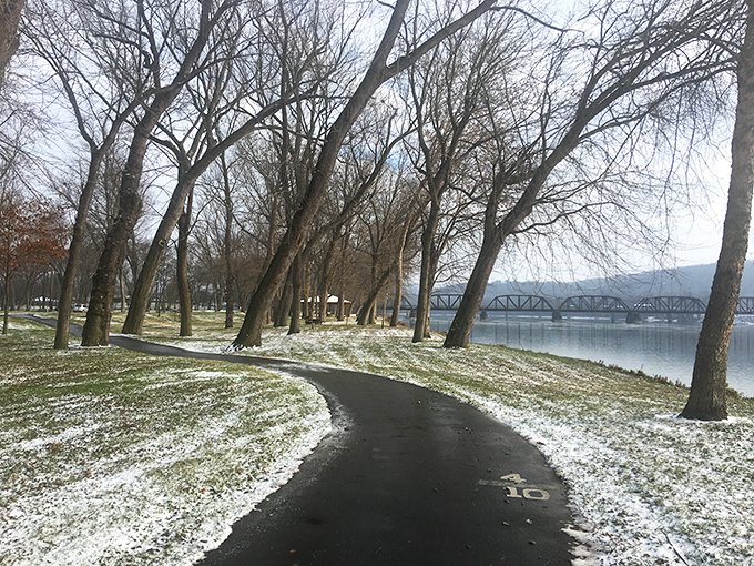 Winter's first dusting creates a monochromatic masterpiece along the riverbank, proving Shikellamy's beauty doesn't hibernate during colder months.