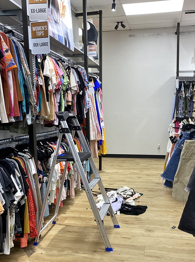 Size-organized racks that respect your time and sanity. No archaeological digs required to find your perfect fit.