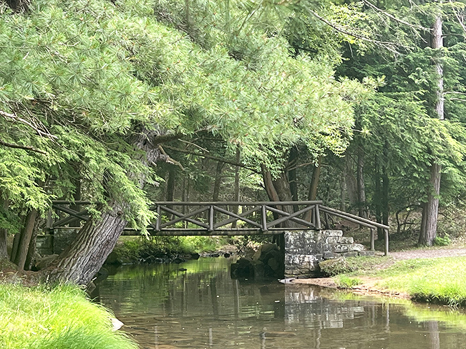 Another bridge, another reason to pause. The architect? Mother Nature. The building materials? Time, patience, and Pennsylvania craftsmanship.
