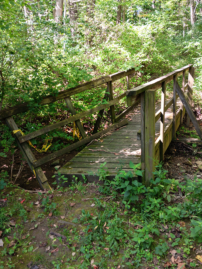 This charming wooden bridge isn't just crossing a stream &ndash; it's inviting you to leave your worries on the other side.