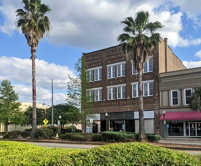 Albany's downtown palm trees and historic storefronts create an unexpected tropical vibe in Southwest Georgia's hidden gem.