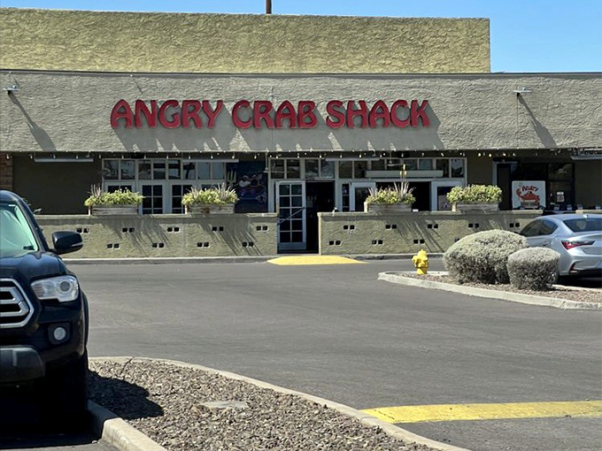 Bold red letters promise the kind of messy, joyful seafood experience everyone craves. 