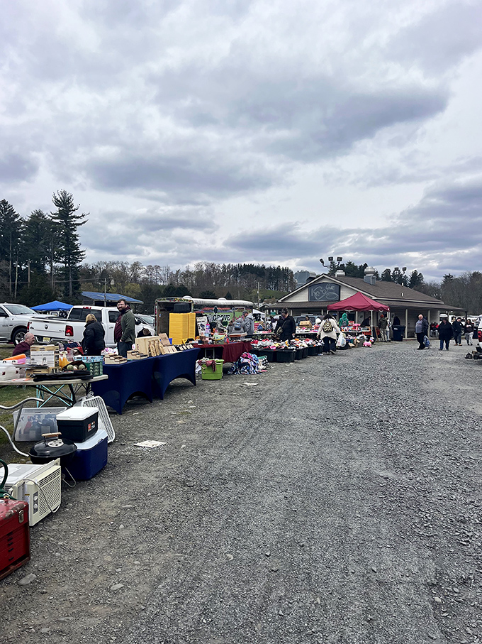 Shoppers browse outdoor tables at Blue Ridge Flea Market, where Pennsylvania's mountains provide a majestic backdrop for bargain hunting.