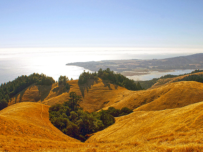 Bolinas hides behind golden hills like California's best-kept secret – and locals prefer it that way.