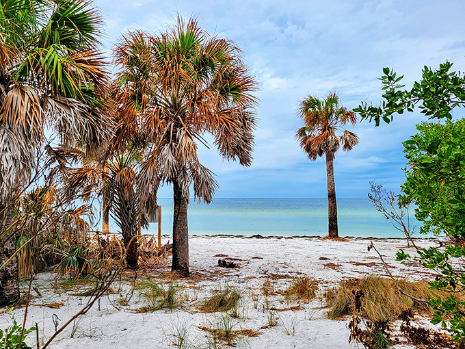 Award-winning white sand squeaks underfoot while crystal waters invite you in for a swim.