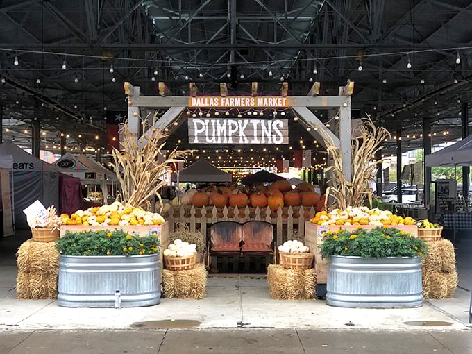 The Dallas Farmers Market knows how to dress up for fall&mdash;those pumpkins are practically posing for Instagram.