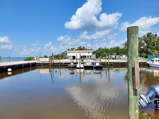 Old Florida still exists! This Everglades City marina hasn't changed its laid-back attitude since Jimmy Carter was discussing cardigan sweaters.