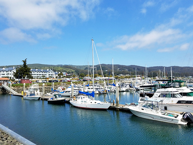 Half Moon Bay's colorful harbor proves that the best seafood often comes from the most picturesque places.