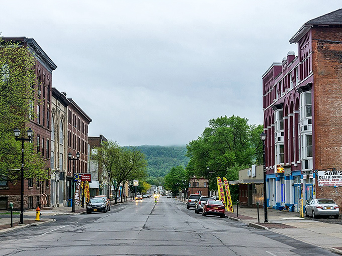 Herkimer's quiet streets invite exploration without expensive admission fees. Where even window shopping feels like a bargain!