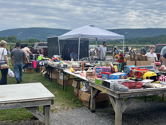 Mountain views enhance the treasure hunting experience at this scenic outdoor flea market location.