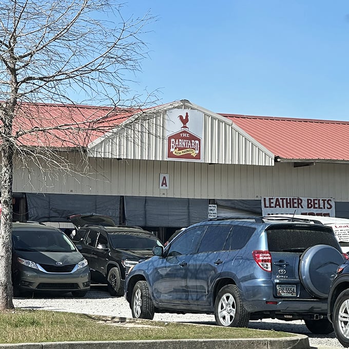 That classic barn architecture houses modern treasure hunting adventures where past meets present beautifully.