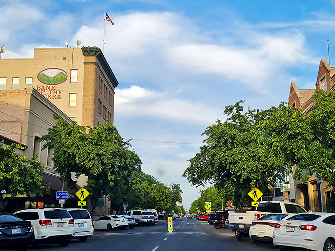 Visalia's tree-lined downtown streets invite you to discover local shops and friendly neighborhood cafes.