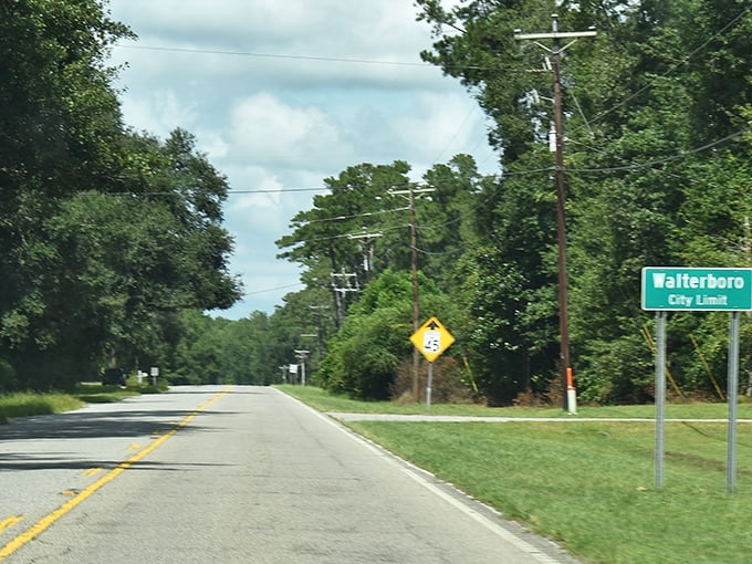 The "Walterboro City Limit" sign welcomes you to a town where your retirement dollars stretch further than your patience at a family reunion.