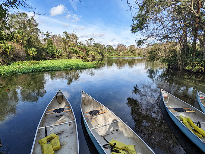 "Canoes lined up like eager puppies waiting for adventure. Wekiwa's waterway promises the kind of day that makes you forget what stress even feels like."