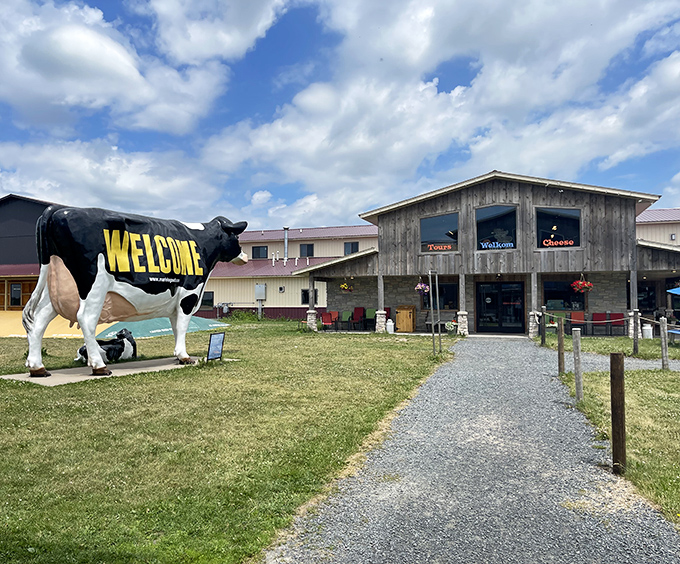 Marieke's rustic barn exterior hides Dutch-inspired gouda that would make Amsterdam envious.