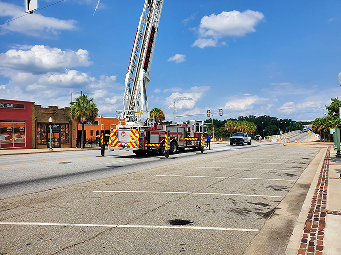 Palm-lined streets create unexpected tropical touches in Georgia's heartland communities.