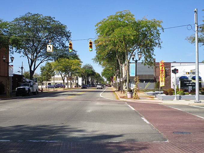 Tree-lined streets in Alma create natural tunnels of green, perfect for those contemplative retirement walks.