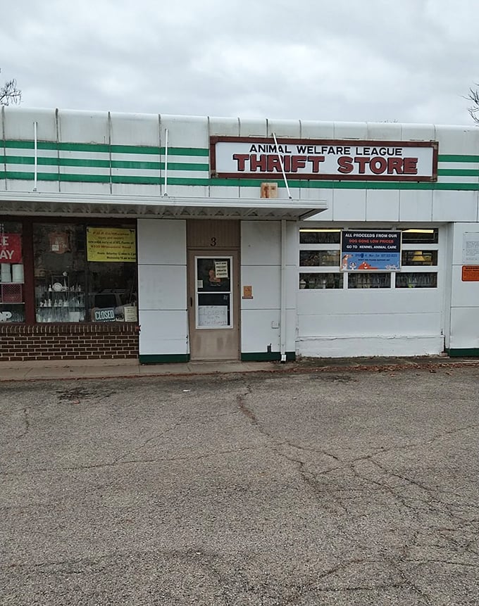 Don't judge this book by its cover - behind that humble facade, Animal Welfare League Thrift Store houses treasures that save four-legged lives.