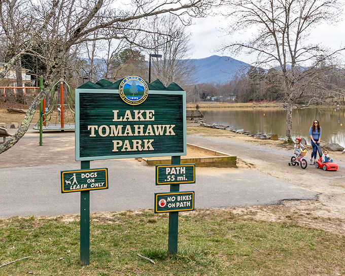Lake Tomahawk Park proves that sometimes the best entertainment is watching ducks while mountains provide the perfect backdrop.