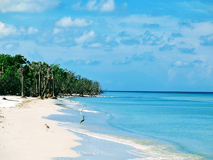 This crescent-shaped paradise proves that some of Florida's best beaches require a boat ride.