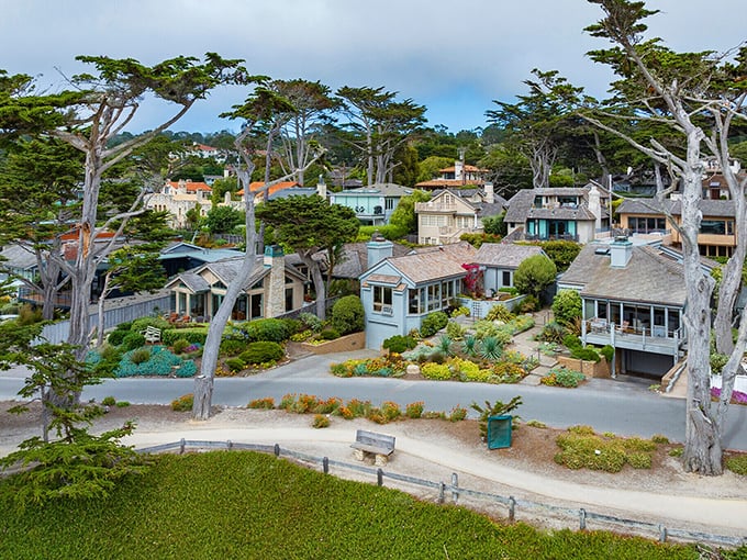 Cypress-lined shores frame this peaceful bay where whale watching boats depart and coastal trails beckon weekend wanderers.