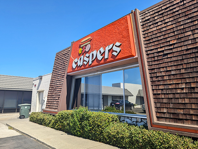 When wood shingles meet hot dogs, magic happens in ways that defy all culinary logic.