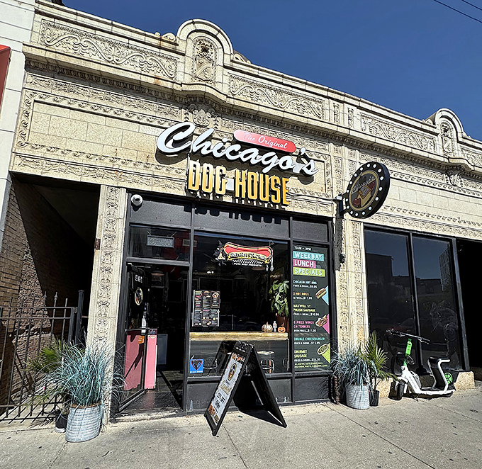 That beautiful old building houses more than just hot dogs&mdash;it's a keeper of Chicago's culinary traditions and community spirit.