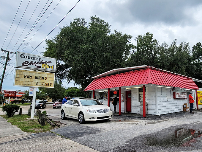 Sometimes the best chicken comes from places that keep things simple and focus on quality.