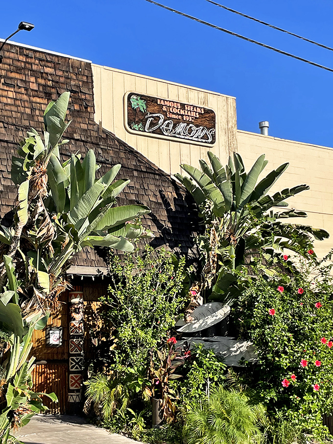 That Polynesian facade promises an adventure where mai tais and perfectly grilled steaks create unexpected magic.