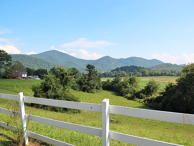 Rolling farmland meets mountain majesty in Dillard, where the views come free with every deep breath.