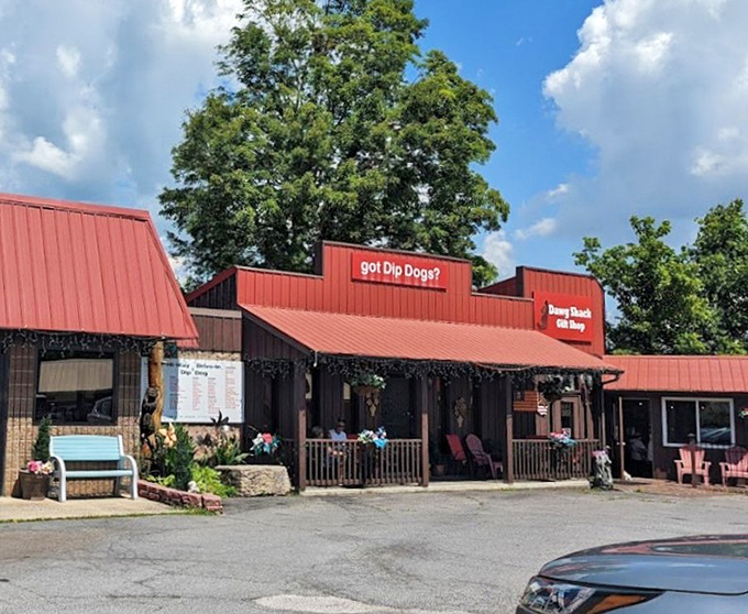 Marion's roadside royalty, where the "Dip Dog" concept turns a simple hot dog into a messy, magnificent masterpiece.