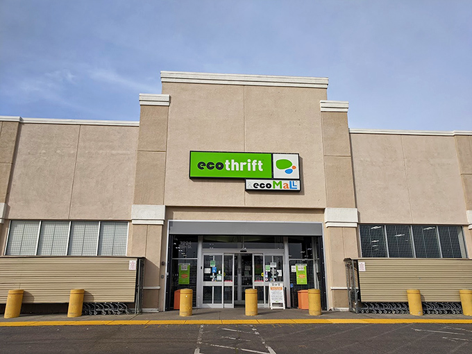 The clean lines and bright signage promise organized treasure hunting - no dusty rummaging required for these bargains.