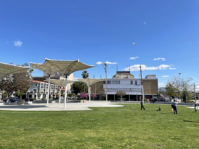 Kites dance above Fresno's urban park like retirement dreams taking flight&mdash;those futuristic sunshades offering protection for tomorrow's memories.