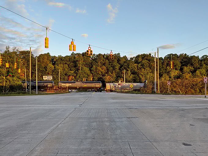 This tree-lined street embodies small-town perfection, complete with American flags and unhurried afternoon charm that soothes the spirit.