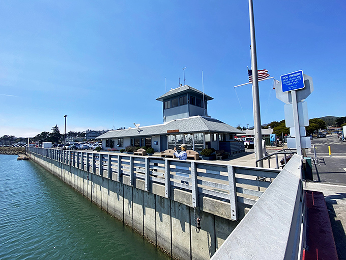 Those Mavericks waves in the distance remind you that nature's power creates the perfect fishing conditions.