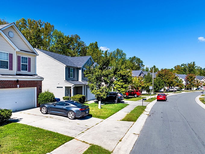 Hillsborough View: Green surrounds brick and mortar in Hillsborough. It's like someone shrunk a city and planted it in a forest!
