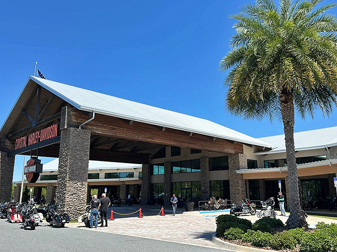 Harley heaven in Homosassa Springs! Even the palm trees stand at attention when those chrome beauties roll into the sunshine.