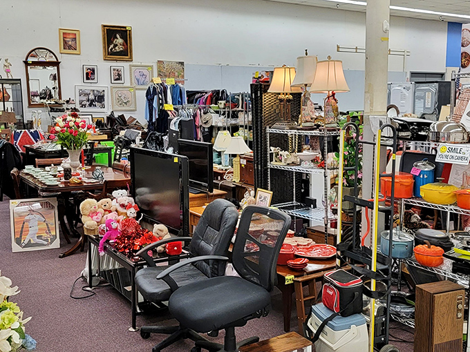 From teddy bears to office chairs! Joppa Grand's eclectic inventory proves that one person's excess becomes another's essential.