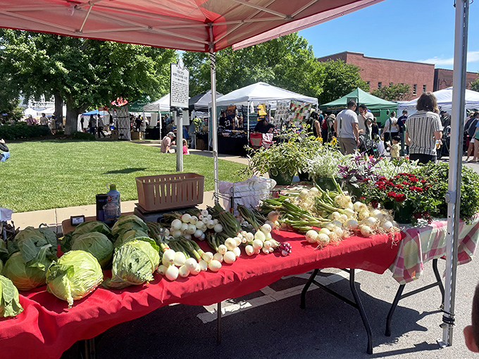 Neat displays of fresh vegetables fill the aisles, making every stop worth exploring carefully.
