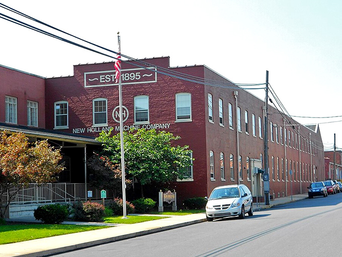 Tree-canopied roads around New Holland create natural cathedrals for peaceful country drives.