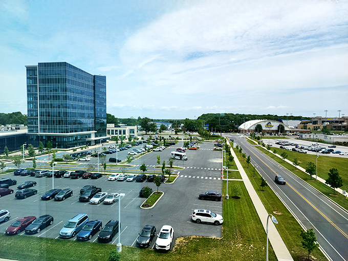 Modern office buildings and well-planned infrastructure in Newark provide employment opportunities while maintaining reasonable living costs for residents.