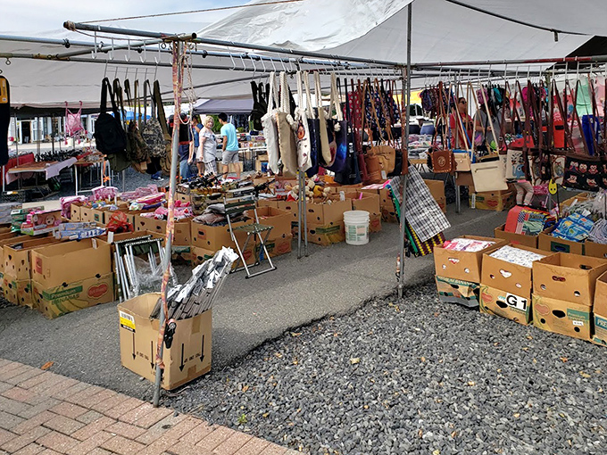 A sea of white tents where wallets open and sensible shopping plans die. Like Las Vegas for vintage lovers, but you wake up with antiques instead of regrets.