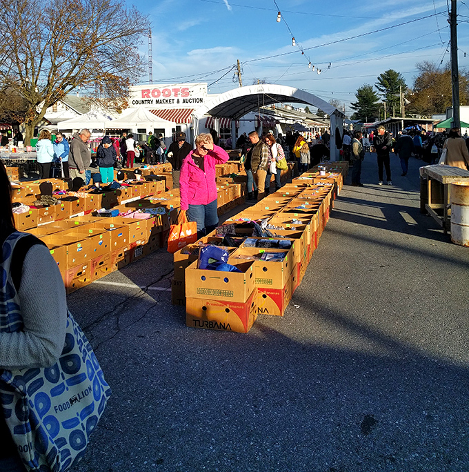 Fresh produce meets flea market finds in this delightful combination of farming and treasure hunting.