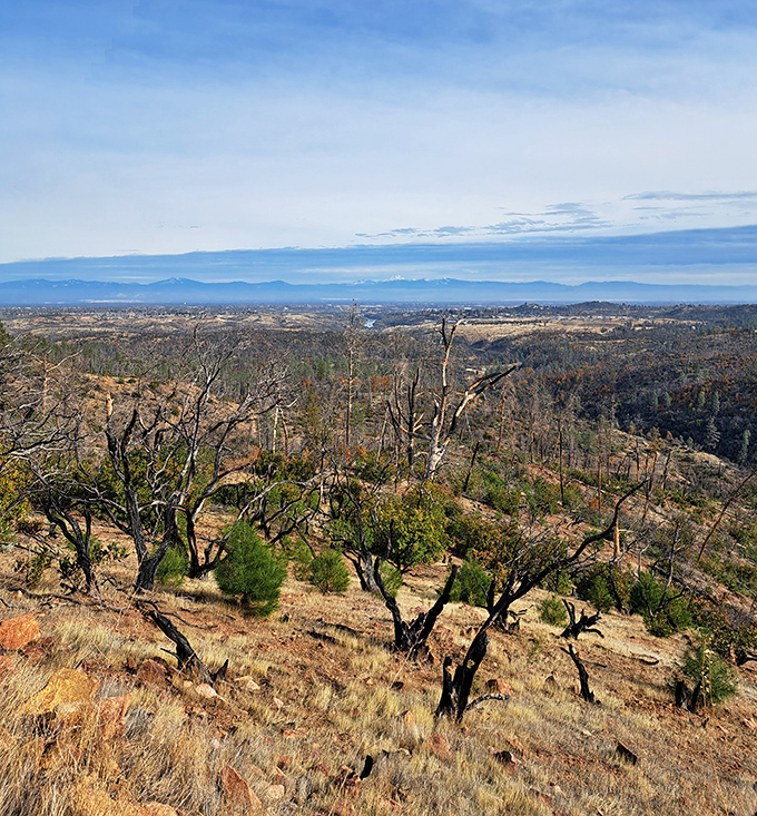 Rolling hills and oak trees frame views that have inspired travelers and settlers for generations.