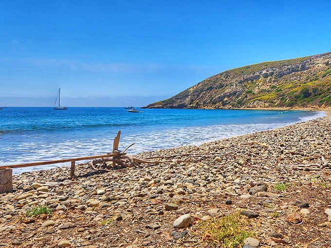 At Smugglers Cove, even the driftwood seems to be on island time&mdash;everything here slows to the rhythm of the tide.