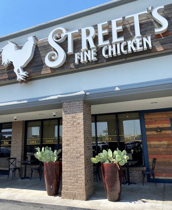 Sometimes the most refined chicken experiences come wrapped in the most approachable, friendly packaging.