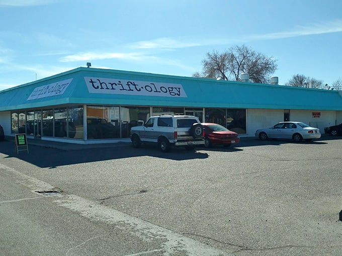 Winter or summer, Thriftology's distinctive color scheme makes it impossible to miss this curated thrifting experience.