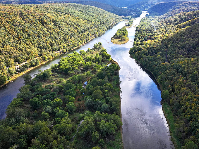 The Allegheny flows through Tionesta like liquid wilderness, carrying stories from Pennsylvania's deepest woods.