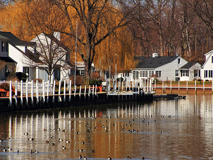 Vermilion - Norman Rockwell would've loved this autumn-kissed waterfront where ducks gather like old friends at coffee.