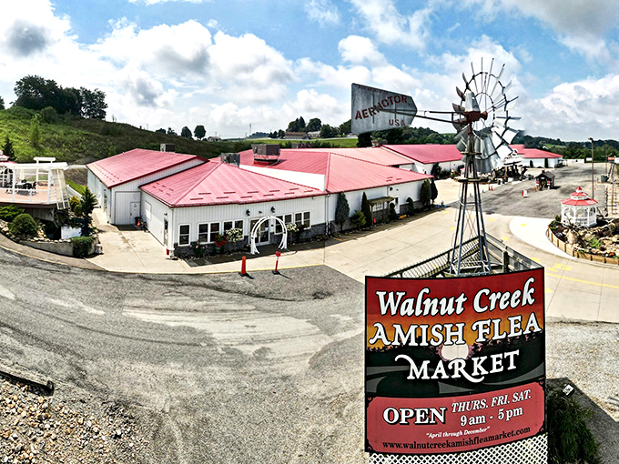 Walnut Creek's flea market sprawls beneath blue skies, promising handcrafted treasures that won't appear in any big box store.